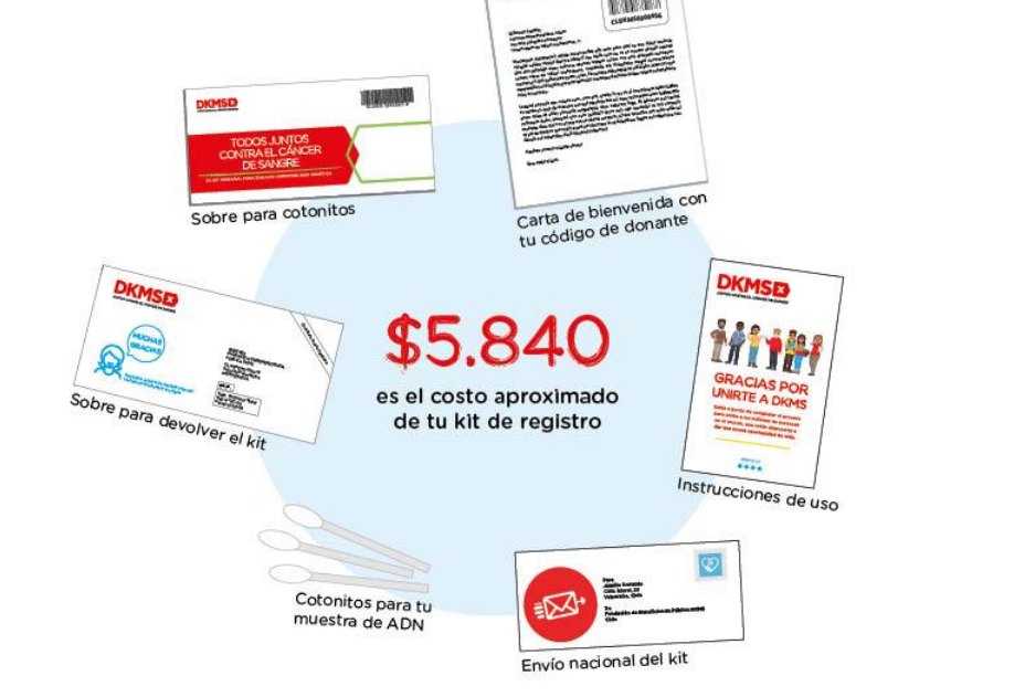 Etapas y costos del registro en DKMS